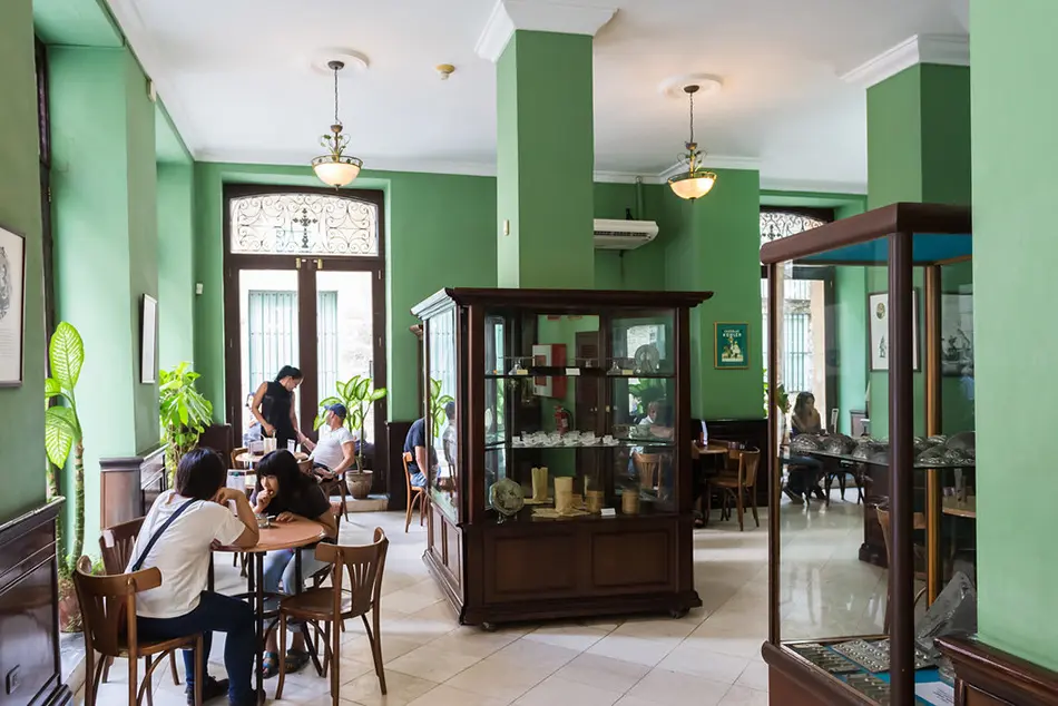 El Cacao Tradicional Cubano: Un Tesoro De Diversidad Morfológica Y ...