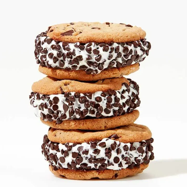 El Delicioso Viaje Del Sándwich De Helado De Galleta Con Chispas De ...